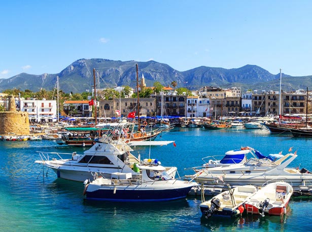 Cyprus Royalty Companies | Sadekya